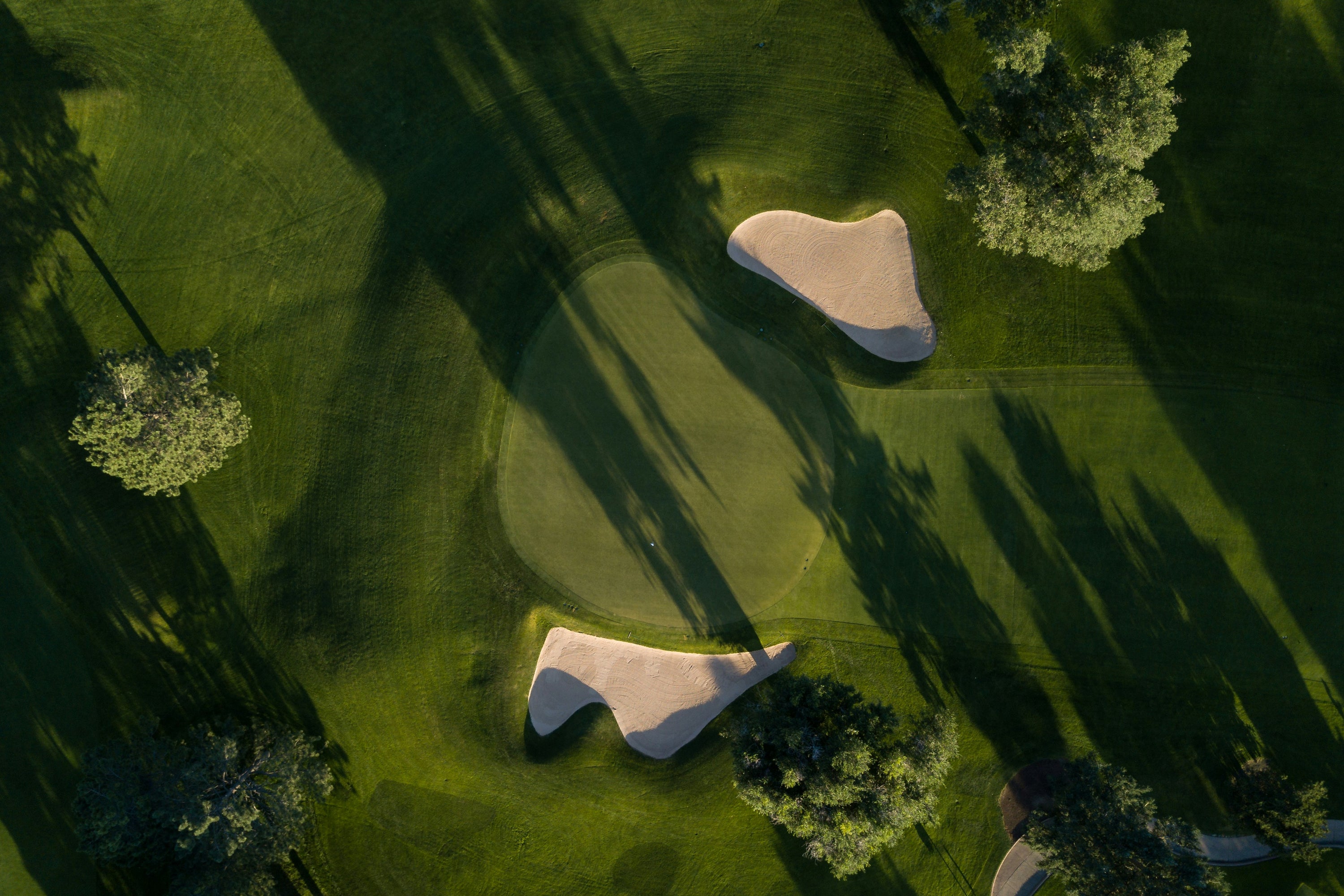 Revival Golf